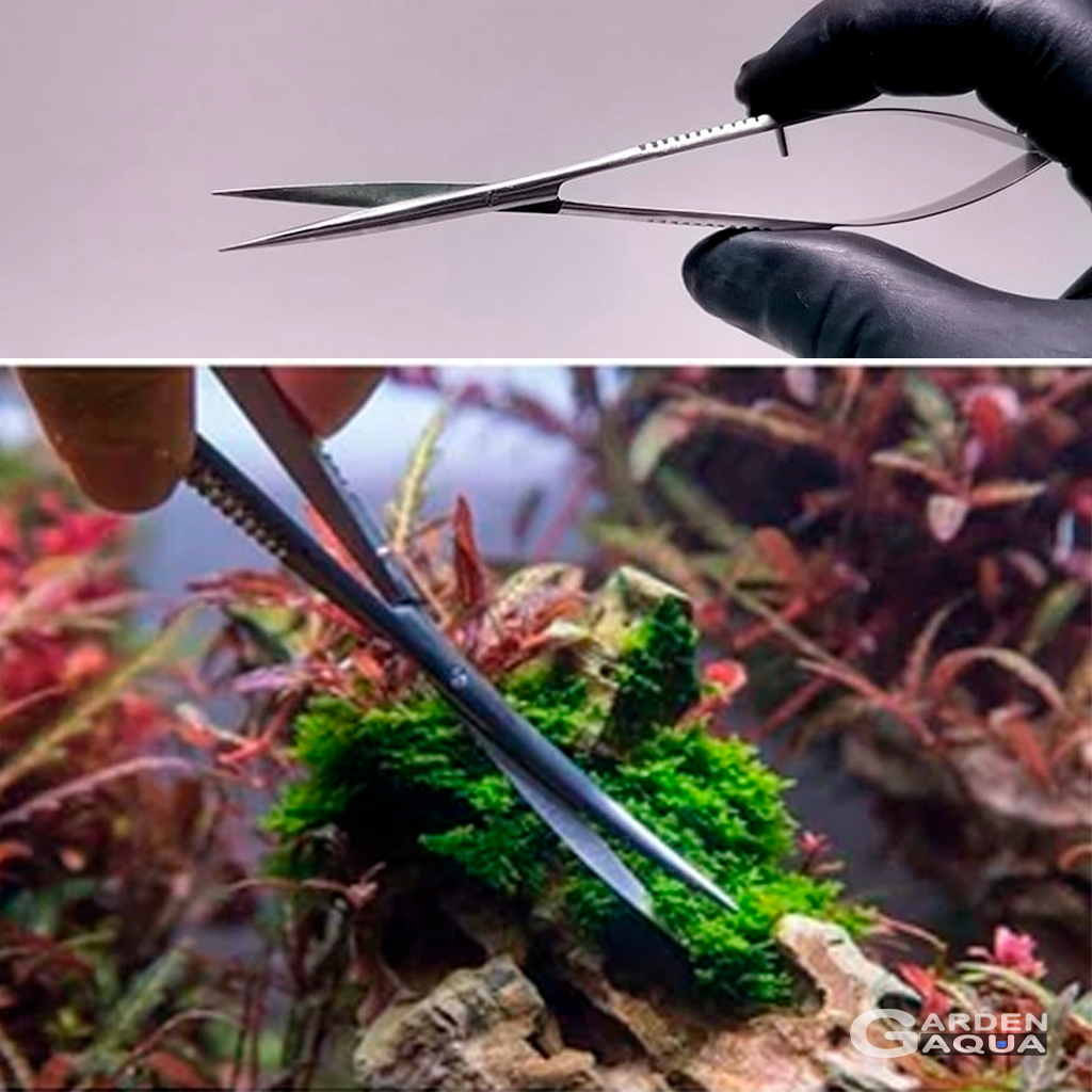 Tijera Spring Scissor 15cm – Tropica – GARDEN AQUA